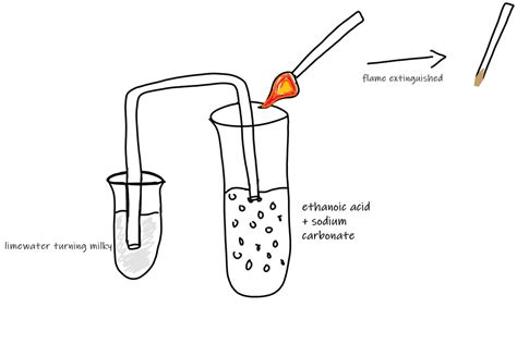 Diagram Showing The Structure Of Ethanoic Acid Downlo