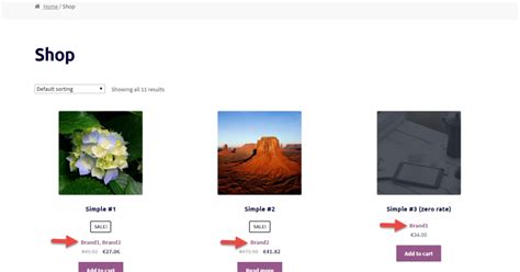 Woocommerce 教程：显示品牌 Loop，商店＆分类页面 Woocommerce