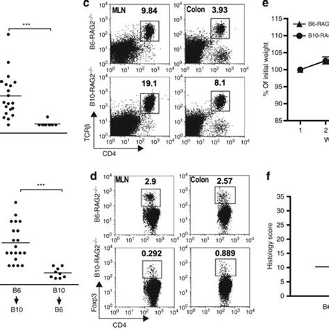 Differential Induced Regulatory T Cells Pathogenic T Cell Balance And Download Scientific