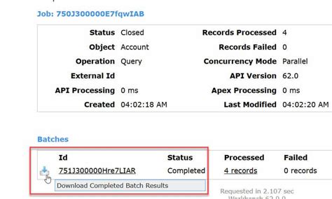 Mass Data Operations Using Salesforce Workbench