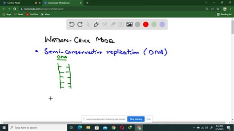 Solvedif The Replication Theory Suggested By Watson And Cricks Model