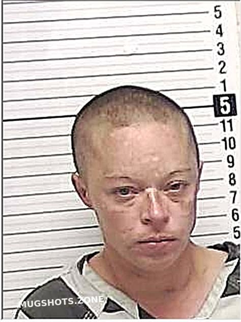 Shaffer Sarah Jo 04012025 Bay County Mugshots Zone