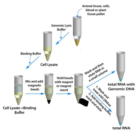 Silica Magnetic Beads Magnetic Silica Beads For Dna Isolation