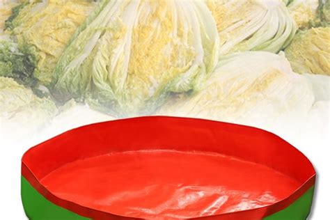 기타소모품·잡화 다용도 김장매트 대 160cm 오늘의집 쇼핑 기타소모품·잡화 다용도 김장매트 대 160cm 오늘의집 쇼핑