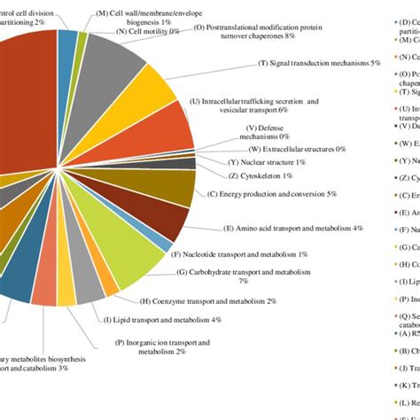 Clusters Of Orthologous Groups COGs Of Functional Categories And Download Scientific Diagram