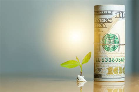 전문 금융 투자 계획은 투자 수익 장기 돈 행복 은퇴 개념에 대 한 절약의 수익의 큰 성장을 만들 미국 달러 유로 중국 위안