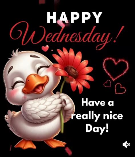 Good Morning Wednesday S Funny