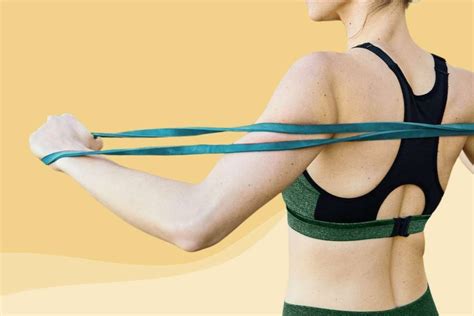 Thoracic Vertebrae Anatomy Function And Common Disorders The Lifesciences Magazine