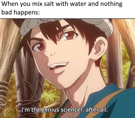 The Best Drstone Memes Memedroid