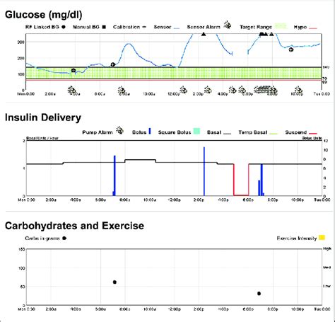 Minimed Daily Details In This Graph Several Reasons For Hypoglycemia Download Scientific