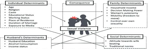 Conceptual Framework Https Doi Org Journal Pone G Download Scientific