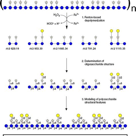 Structures Of The Products Of Protein Glycation 232234 And The