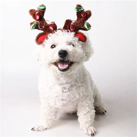 Christmas Antler Hat