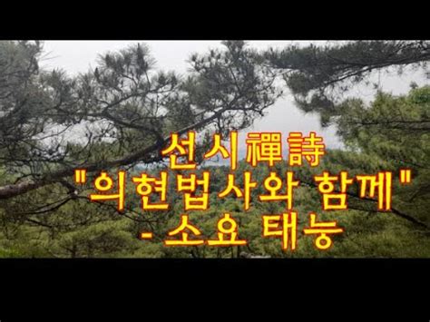 깨달음TV 선시 의현법사와 함께 소요 태능 YouTube