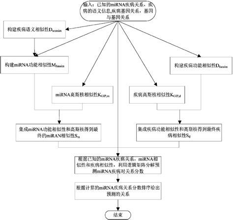 Mirna Disease Association Relation Prediction Method Based On Similarity And Logical Matrix