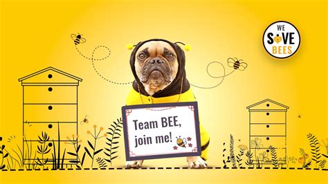 Shwetha Rao Posted On Linkedin