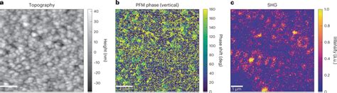 Signatures Of Local Inversion Symmetry Breaking A Topography Measured