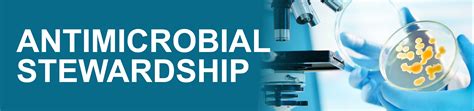 Infection Control And Antimicrobial Stewardship At Alyssa Camm Blog