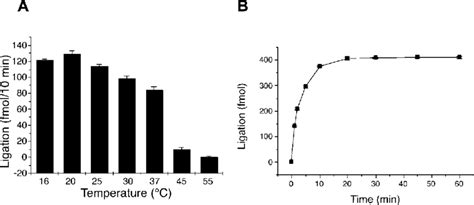 Temperature Effect And Time Course A Effect Of Reaction Temperature