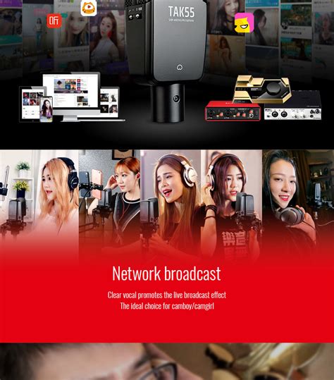 TAK55 Professional Recording Microphone - Guangdong Takstar Electronic ...