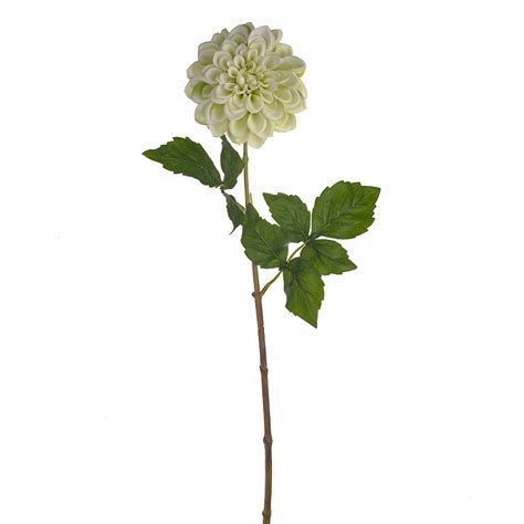 Dahlia Stem Light Green 60cm Cb Imports