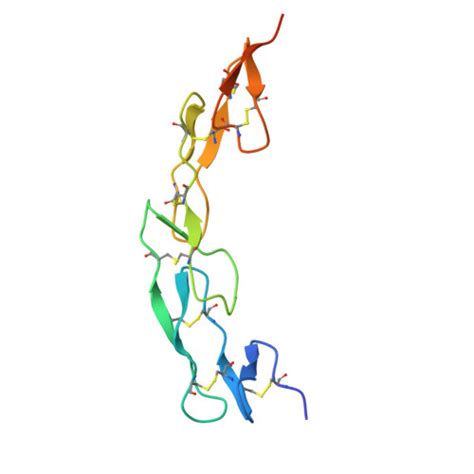 Rcsb Pdb 7kx0 Crystal Structure Of The Cd27cd70 Co Stimulatory Complex