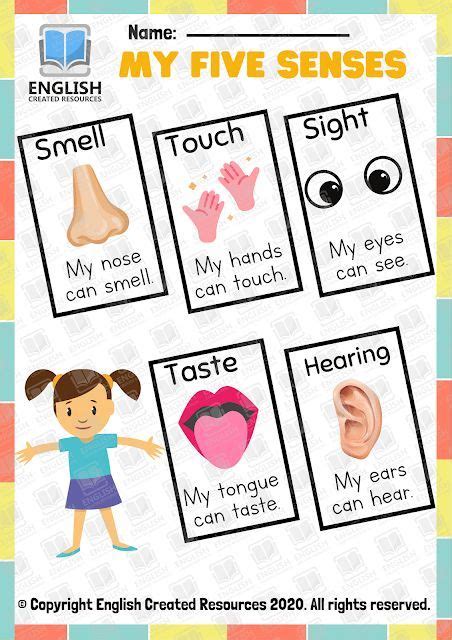 The Five Senses Worksheets Dde Five Senses Chart Five Sense Organs