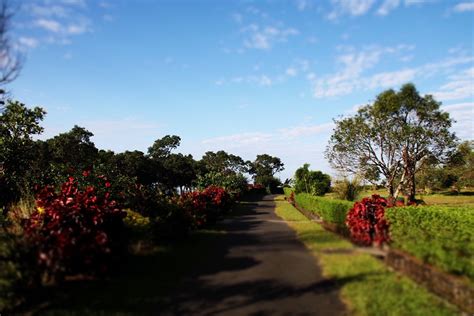 Thangkharang Park Sohra All You Need To Know Before You Go