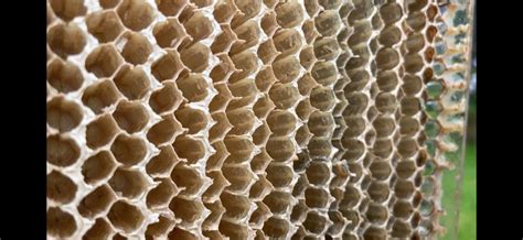 How To Clean Flow Hive Frames Flow Forum