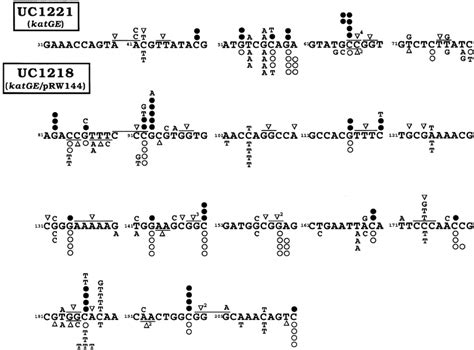 Overall Distribution Of Single Base Mutations Which Includes Single Download Scientific