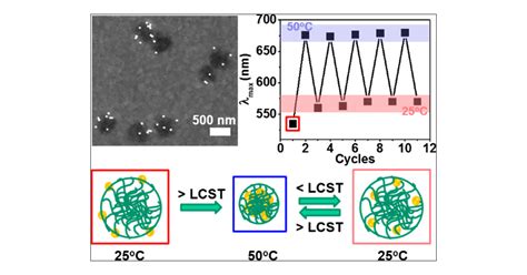 Dynamic Optical Switching Of Polymerplasmonic Nanoparticle Hybrids