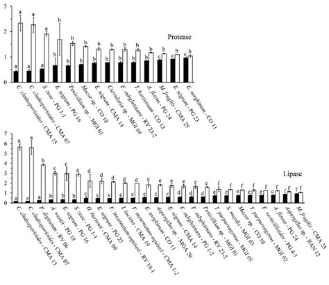 Enzyme Activity Analysis The Data Are The Average And Standard