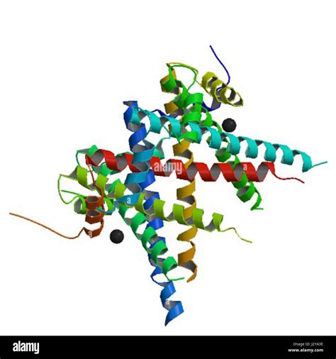 C4bp Also Known As Complement Factor H Binding Protein Is A Protein Involved In The Immune