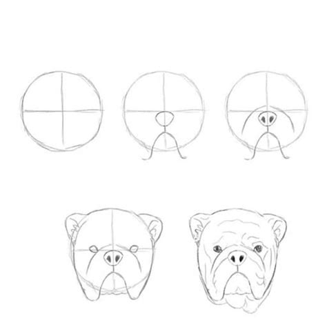 How To Draw Animals Guide Para Android Descargar