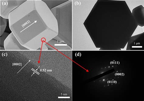 a sem morphology of the as prepared zno microstructures b hrtem image
