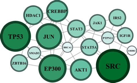 Maximum Entropy Ranking Of Key Genes In Triple Negative Breast Cancer Download Scientific