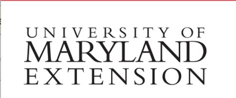 Utility Of Estrus Synchronization In Beef Cattle Beef Web