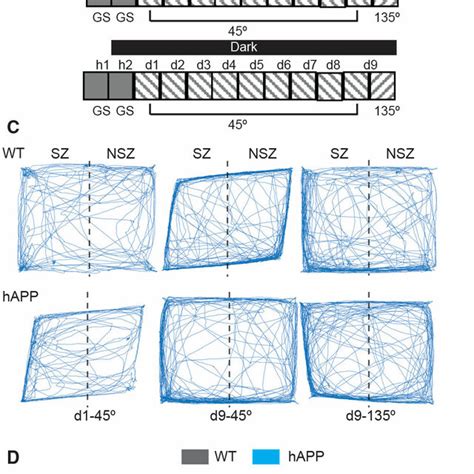 Other Visual Experiences Differentially Influence Visual Recognition Download Scientific