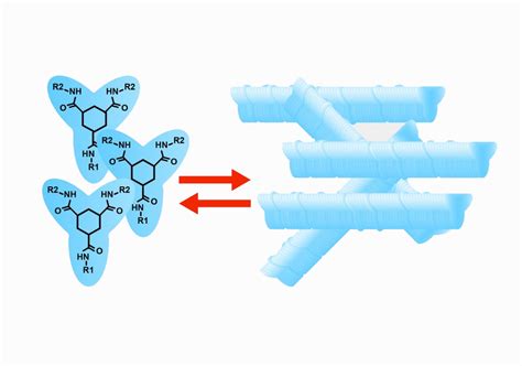 Sopachem Life Sciences Self Assembled Matrix Formation Sopachem Life