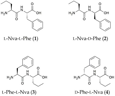 Simple Dipeptide Structure