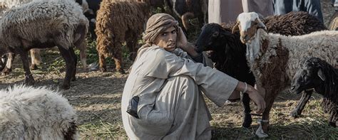 Human Trafficking In The Middle East The Exodus Road