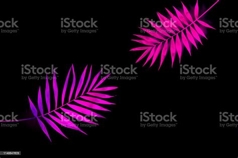 활기찬 대담한 그라데이션 홀로그램 네온 색상에 열 대와 야자수 잎 개념에 대한 스톡 사진 및 기타 이미지 개념 개념과 주제