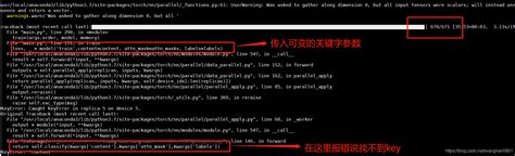 Pytorch多gpu并行bug收集（长期）：keyerror Caught Keyerror In Replica Deviceid On Device Deviceid