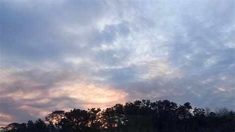 하류이 Haryuclr Twitter