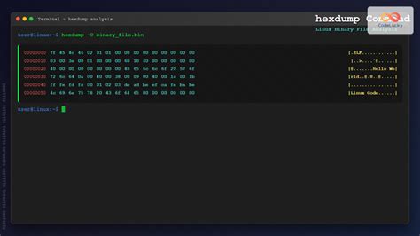 Wc Command Linux Complete Guide To Count Lines Words And Characters