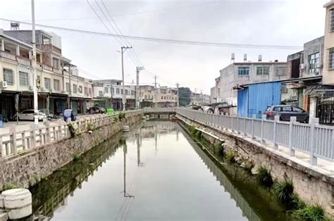 古雷杜浔镇：守一方碧水，绘秀美画卷