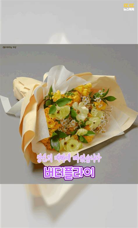선물하기 좋은 꽃말이 예쁜 꽃 알아보자 네이버 포스트