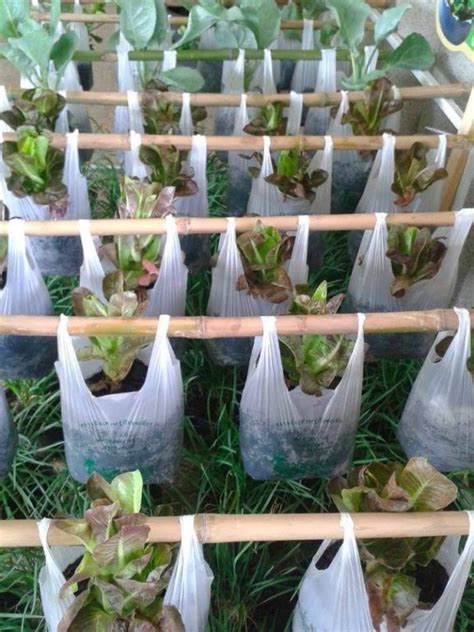 คัดมาให้ดู 100 ไอเดียแปลงปลูกผักสวนครัว สวยๆ แบบประหยัดพื้นที่ แบบเกษตรพอเพียง Gemüsegarten