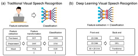Lipreading Architecture Based On Multiple Convolutional Neural Networks For Sentence Level
