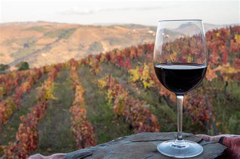 포르투갈의 와인 지역 인 도우로 밸리 에서 생산된 포르투갈 레드 드라이 와인 한 잔과 가을에 는 오래된 계단식 포도원 0명에 대한 스톡 사진 및 기타 이미지 Istock